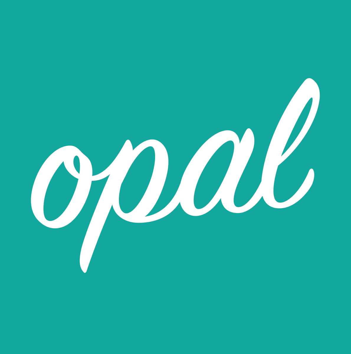 Opal Products | Wholesale Car Air Fresheners – Opal Products UK
